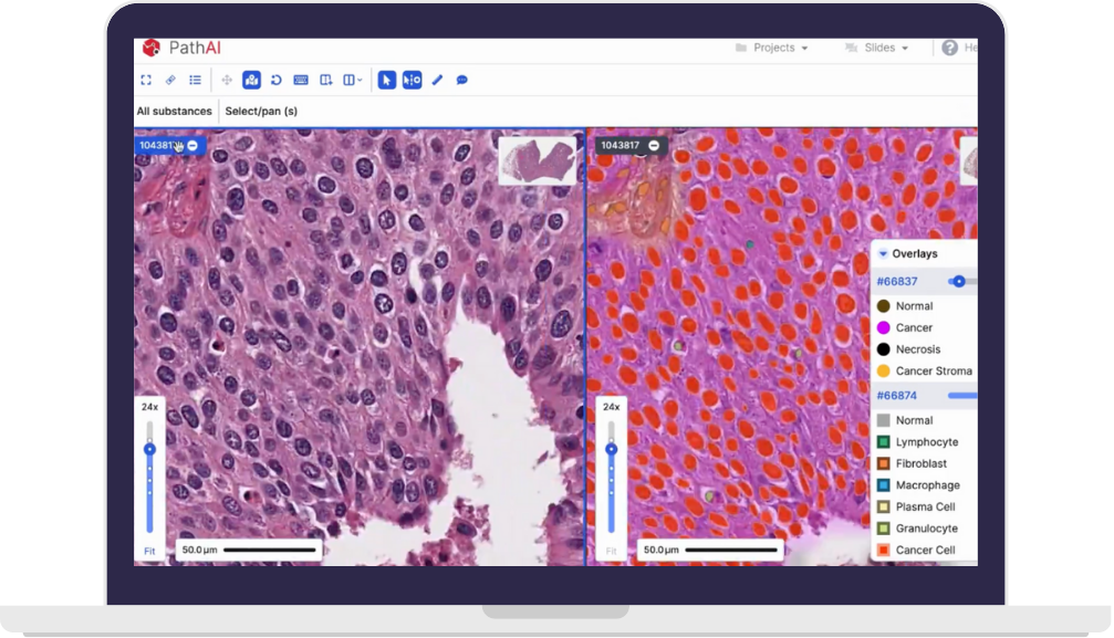 Experience AI-Powered Pathology: Demo our products today